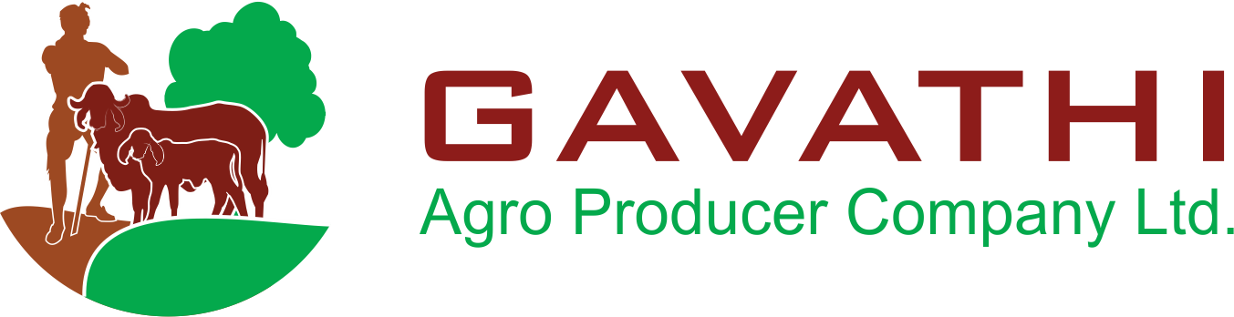 Gavathi Agro – Gavathi Agro Producer Company Ltd.
